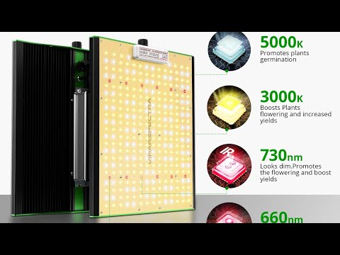 Viparspectra Pro Series LED Grow Light P1000 Ep.1