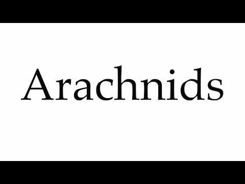 How to Pronounce Arachnids