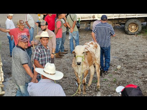 tiangue de Santa Rosa de Lima, La Unión Norte, El Salvador, sábado 21 de junio 2025