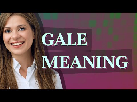 Gale | meaning of Gale