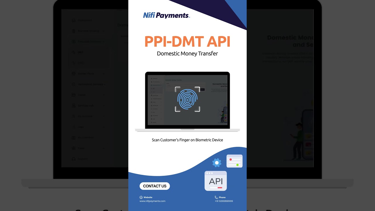 PPI & DMT API Integration Explained | Fast Money Transfers & Wallet Services for Fintech Apps