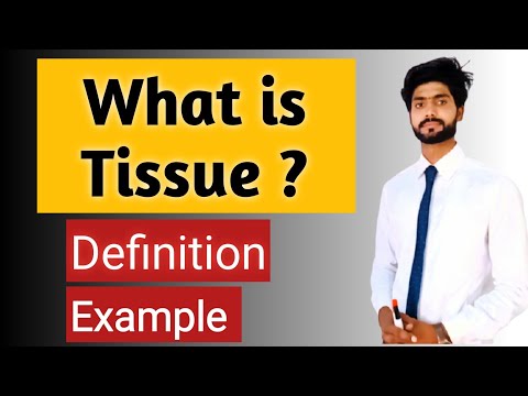 Tissue Definition | Define Tissue ? | Tissue in biology
