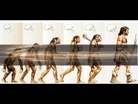 Timeline of Indian history ancient, medieval, modern