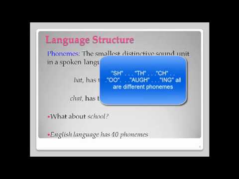 Language Structure