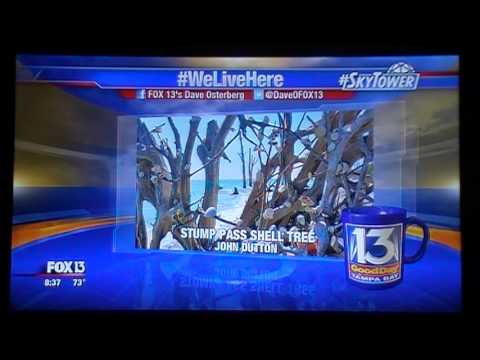 John's Good Day Tampa Bay Mug