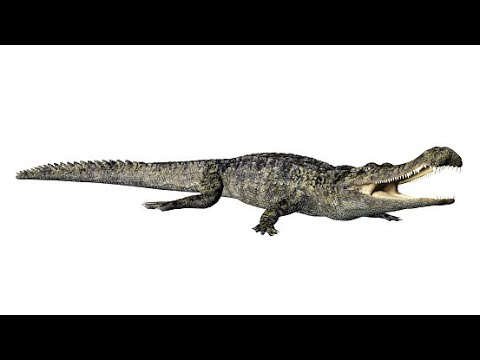Sarcosuchus appearance in media part 1