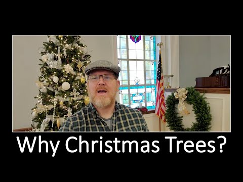 The True Meaning of Christmas Trees