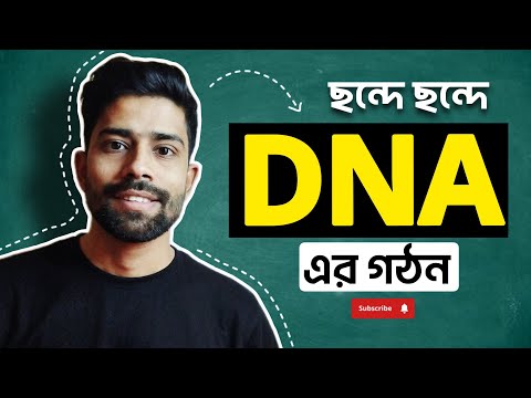 How to draw DNA structure easily | ডিএনএ এর গঠন। Figureschool