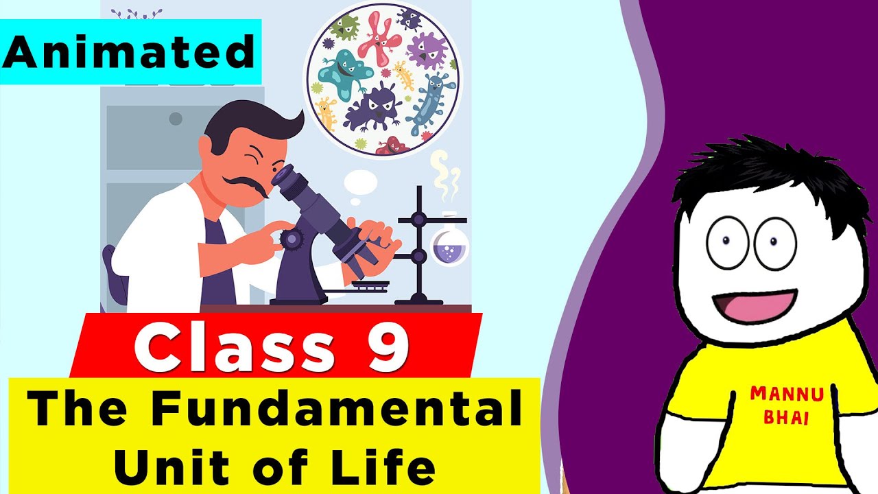 Understanding the Fundamental Unit of Life: A Comprehensive Guide ...