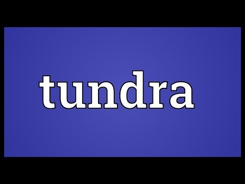 Tundra Meaning