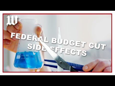 How cancer research is affected by federal budget cuts