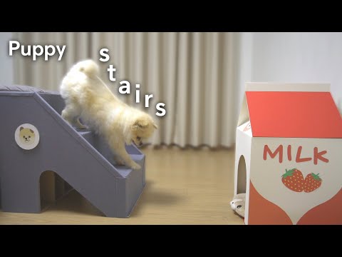 DIY puppy stairs from cardboard