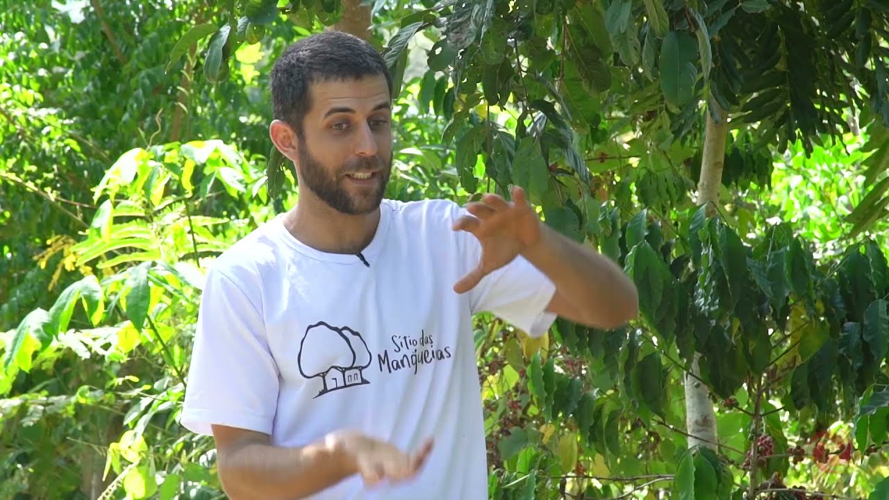 Conheça uma agrofloresta em Florestal
