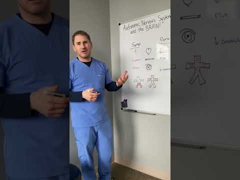 What is the Autonomic Nervous System? Chiropractic Neurology can help!