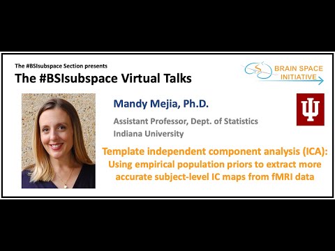 Template independent component analysis (ICA)