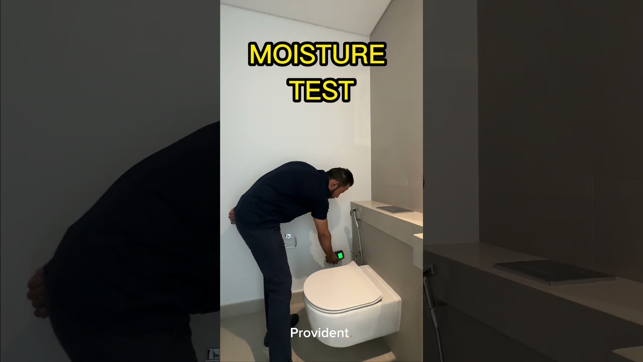 Provident's Snagging Inspection Process