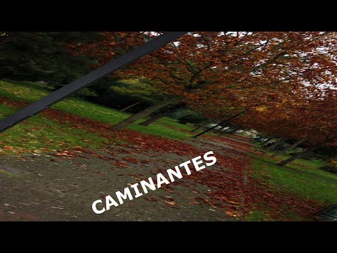 Berni y Cortázar. Canciones de Violeta Parra