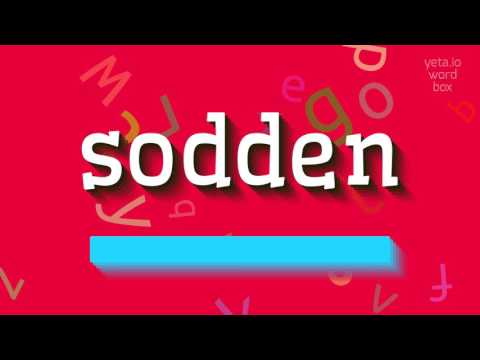 HOW TO SAY SODDEN? #sodden