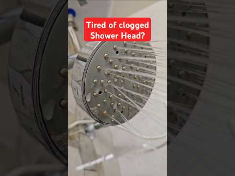 How to clean Shower Head | Tips & Tricks 23 | #shower #cleanshower #cloggedshower #cleantok #hack