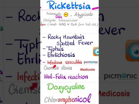 Rockettsia - Rocky Mountain Spotted Fever, Typhus, Ehrlichiosis - Bacteria- Microbiology 🧫 #biology