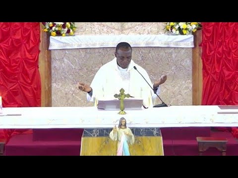 Catholic Mass Today || Daily Mass - Wednesday 18th June 2025 || Daily Mass Online