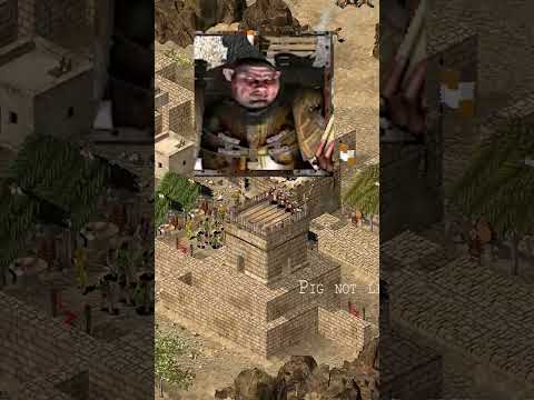Pig not like this! | Pig 🐽 quotes | Stronghold crusader