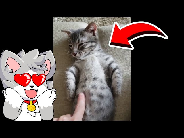 Acenix's Age, Bio, Net Worth, Career, Personal Life and FAQs