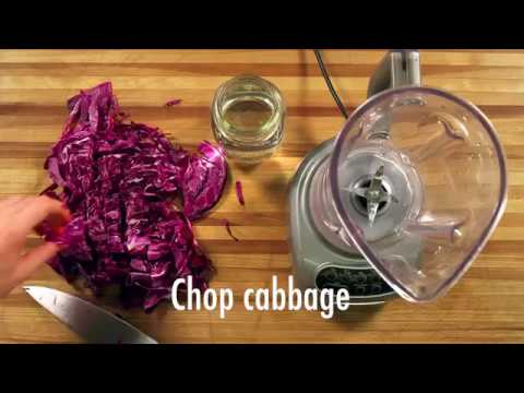 STEAM Chefs: From Cooking to Science – Empowering Students in the ...