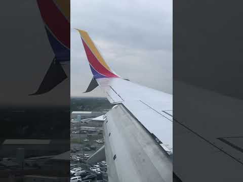 Landed in buffalo New York