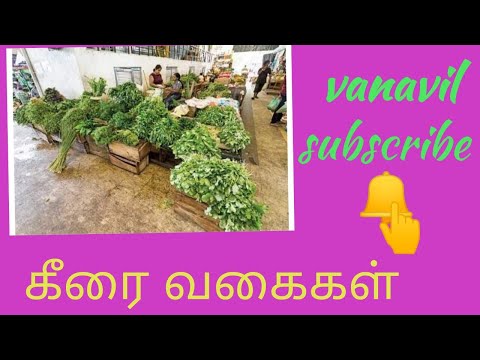 35 keerai vagaigal names in tamil with images || spinach names || vanavil || tamil .