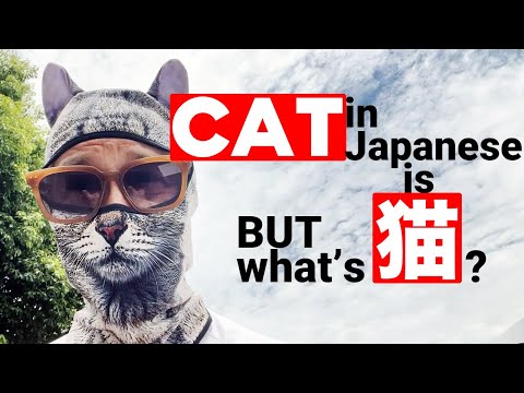 CAT in JAPANESE is NEKO