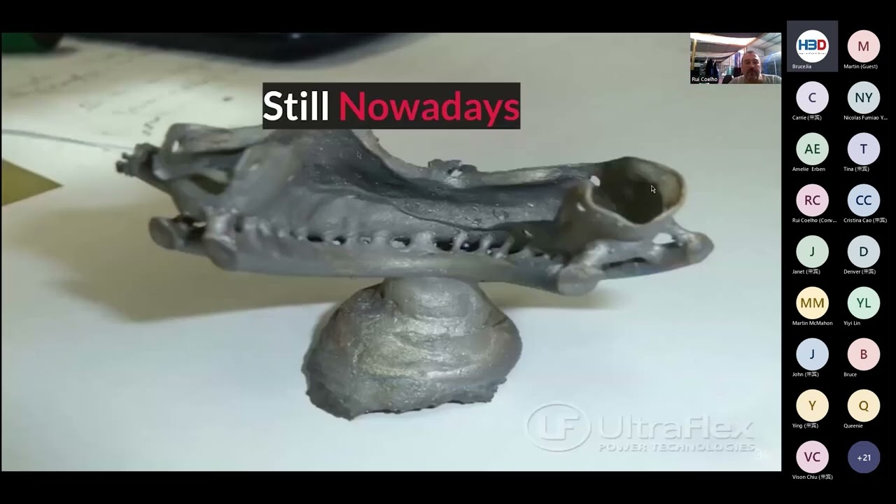 HBD Medical Metal 3D Printing Webinar 2022