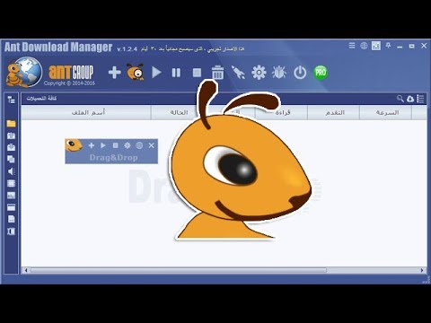 برنامج النملة ANT Download Manager لتحميل ملفات الانترنت مجانا
