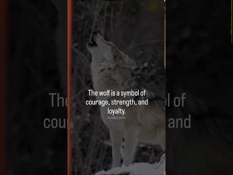 The wolf is a symbol of courage, strength, and loyalty. #awolfquote #wolf #quotes #short #symbol