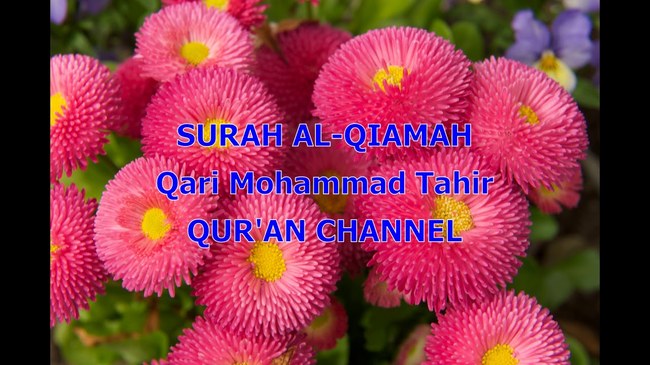 QUR AN Surah Al Qiamah Recited By Qari Mohammad Tahir PAKISTAN