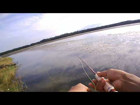 Test Aventik fly rod wt 0/1...