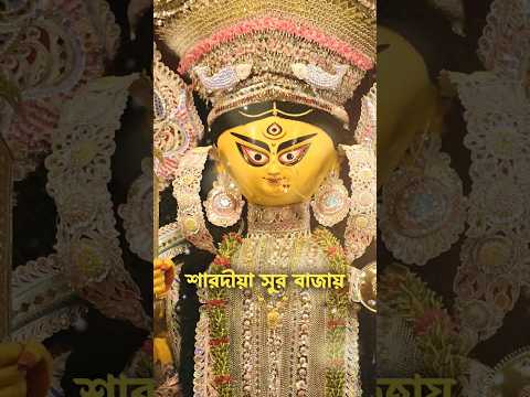 #sharodiyasur 🪷 #anwesshaa @pronambangla #bengalishortvideo #durgapuja2023 #shortvideo