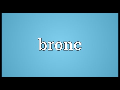 Bronc Meaning