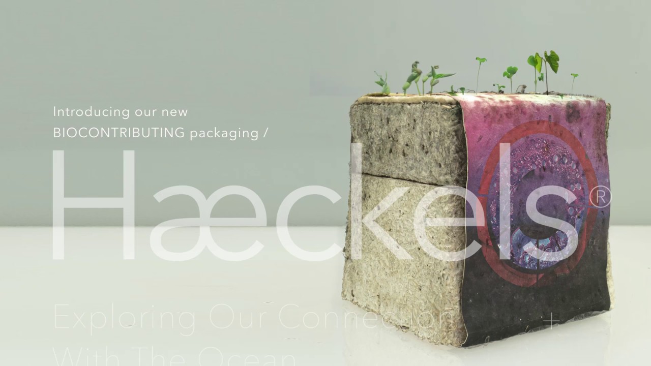 Let It Grow - New Biocontributing Packaging