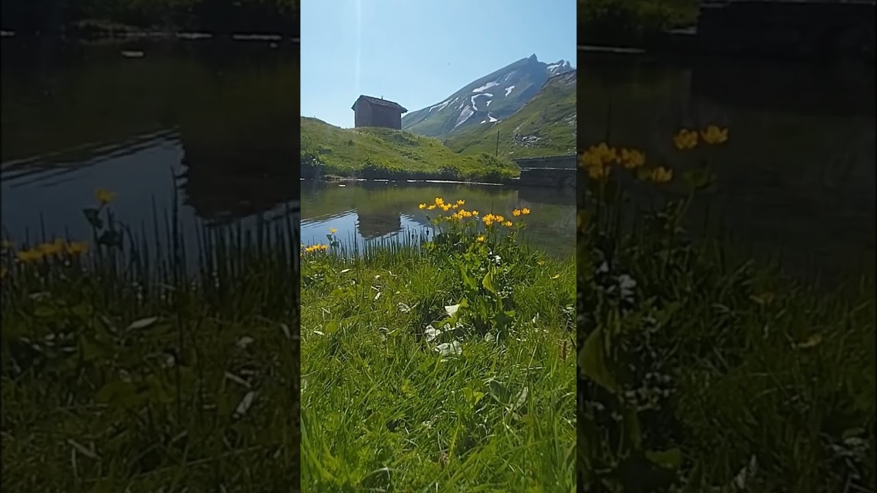 Haute-Savoie : Réouverture officielle du col de la Colombière - Le ...