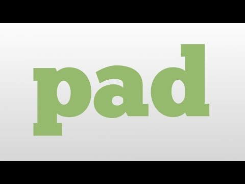 pad meaning and pronunciation