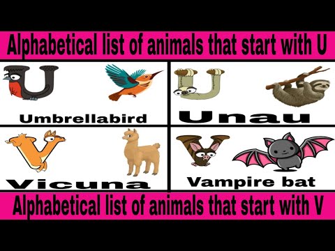 Exploring Animals That Start with U and V: A Fascinating Animal Journey"
