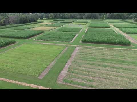 UMN Long-Term Agricultural Research Network