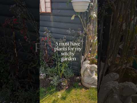 5 Magical Plants Every Witch Needs in Their Garden! 🌿✨ #greenwitch #witchtok #witchcraft #witch