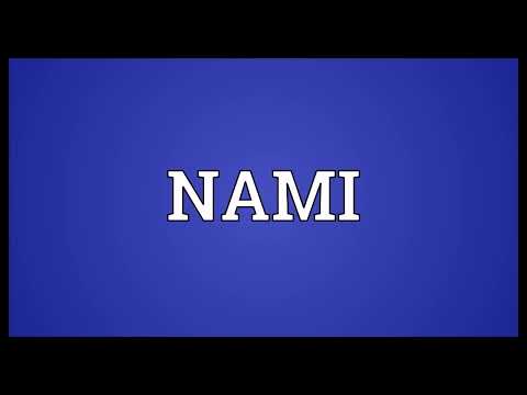NAMI Meaning