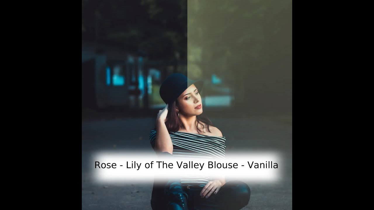 Steampunk Butterfly Tshirt or Sweatshirt, Unique Mechanical Insect Design, Artistic Gear Wings Te...