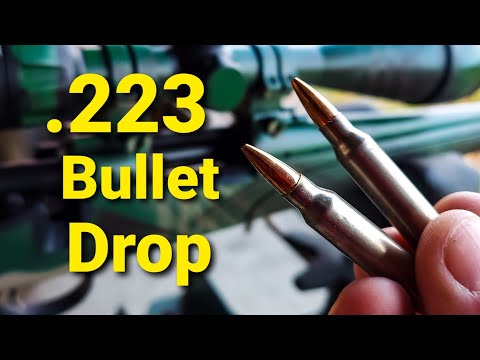 .223 Bullet Drop - Demonstrated and Explained