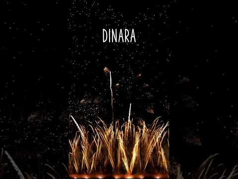 BON ANNIVERSAIRE DINARA !