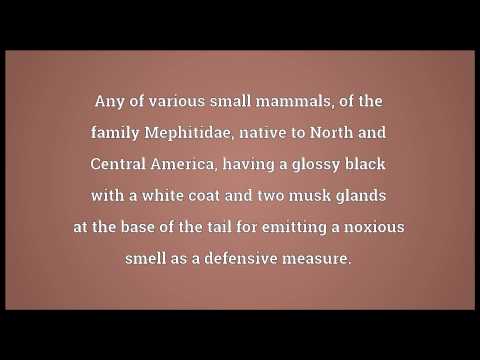 Skunk Meaning