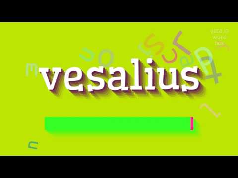 How to say "vesalius"! (High Quality Voices)